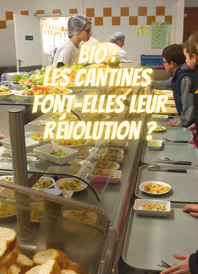 Bio : les cantines font-elles leur révolution ? - www.tvdeschefs.com